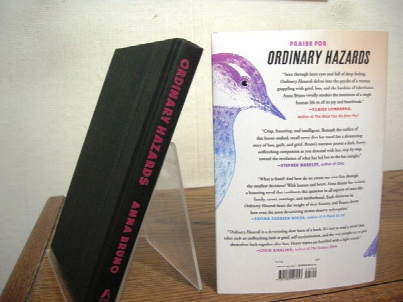 Ordinary Hazards