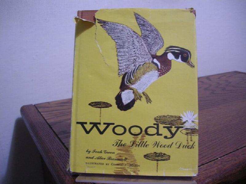 Woody, the Little Wood Duck