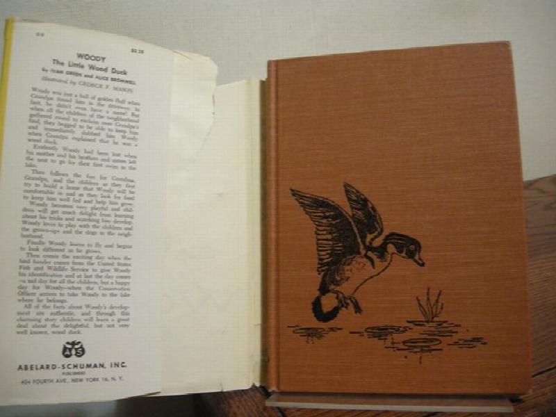 Woody, the Little Wood Duck