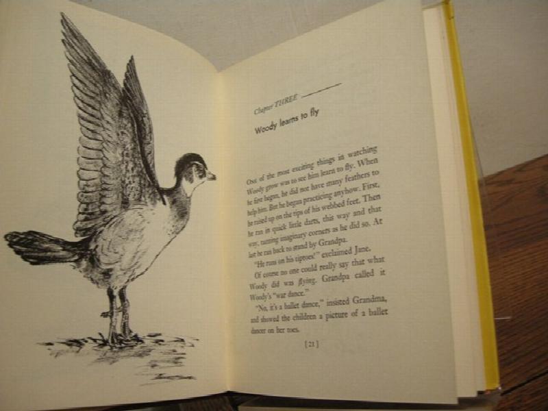 Woody, the Little Wood Duck